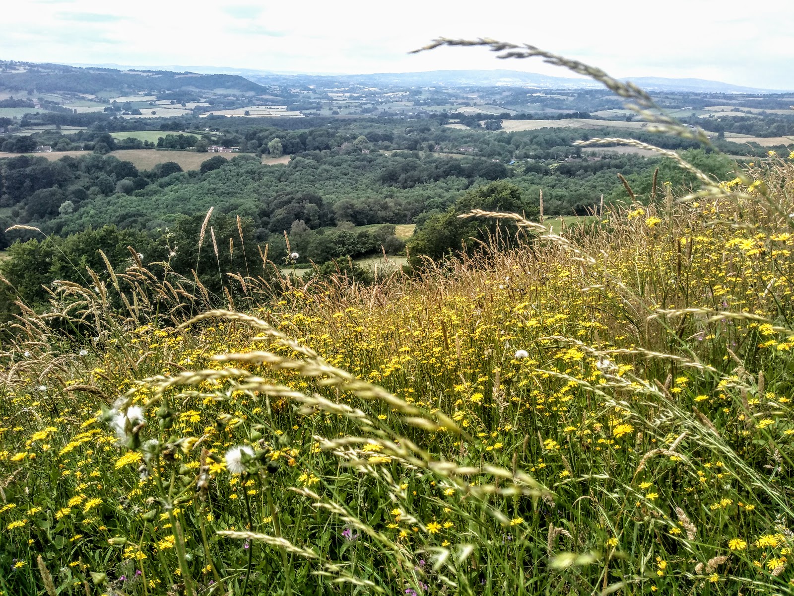 Time On Your Feet: Running for HannAH Challenge = completed! Run H (The ...