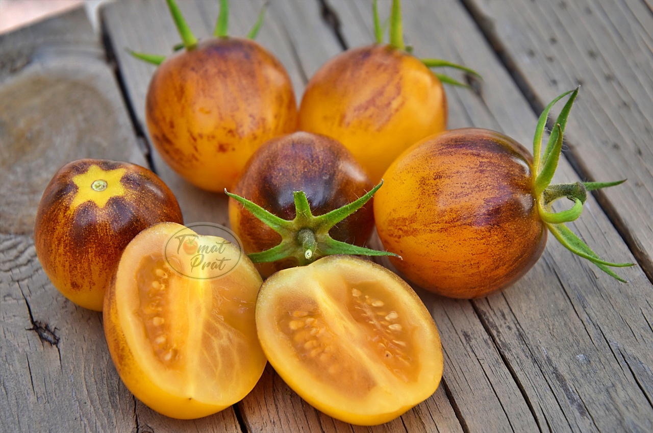 Helenes Tomater: Atomic Sunset