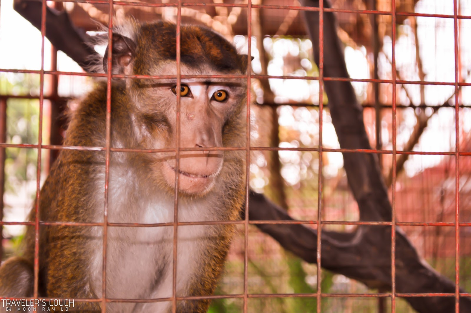 Palompon + Kalanggaman Island, Leyte, Philippines Escapade ~ Traveler's ...