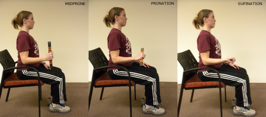 Physical Therapy Exercises: pronation and supination