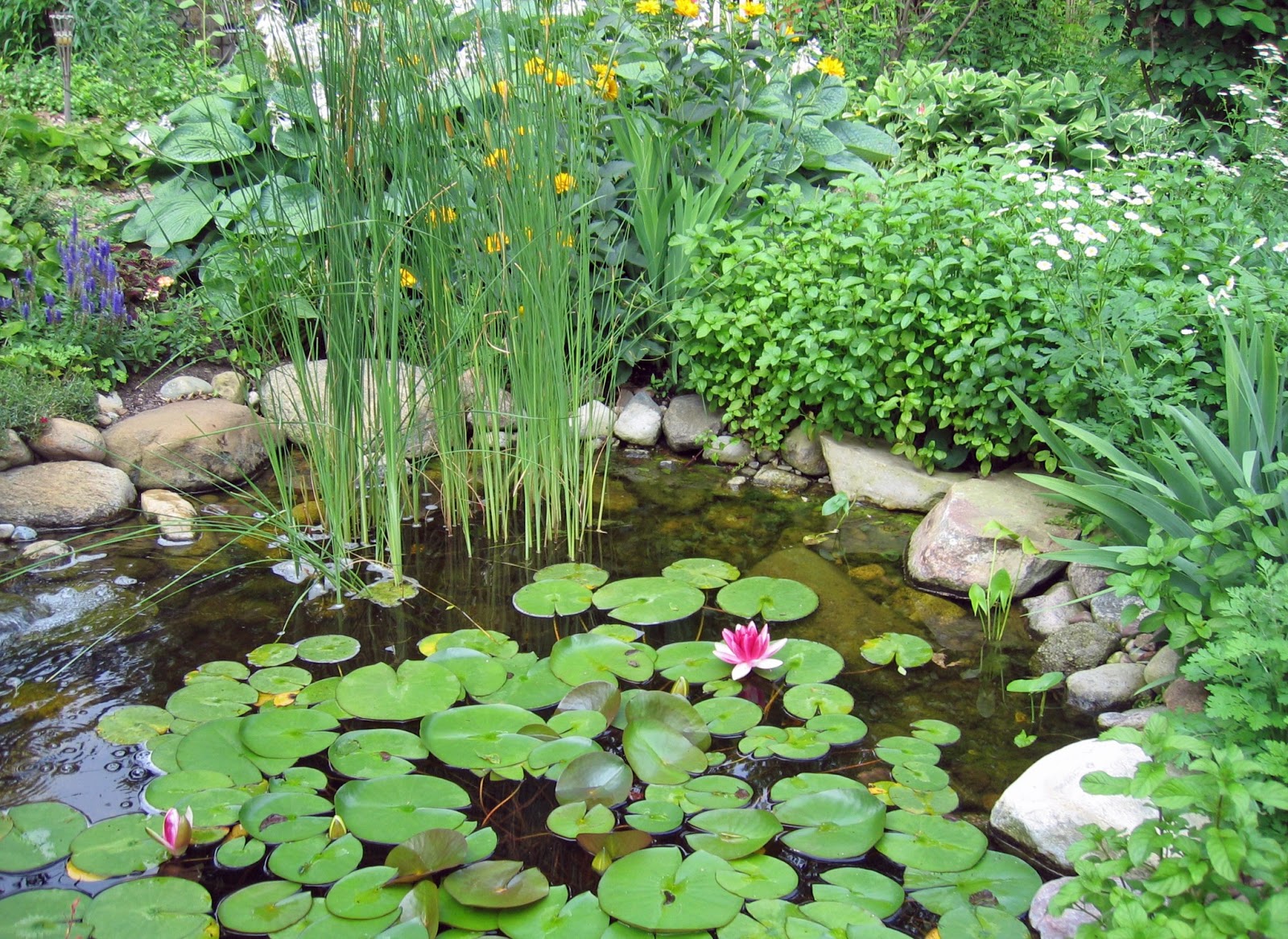 Just*Grand: A Glorious Garden