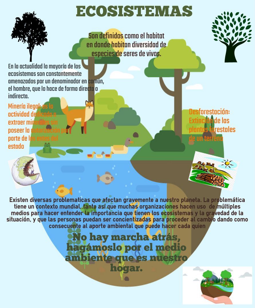 Los Ecosistemas.: Infografía.