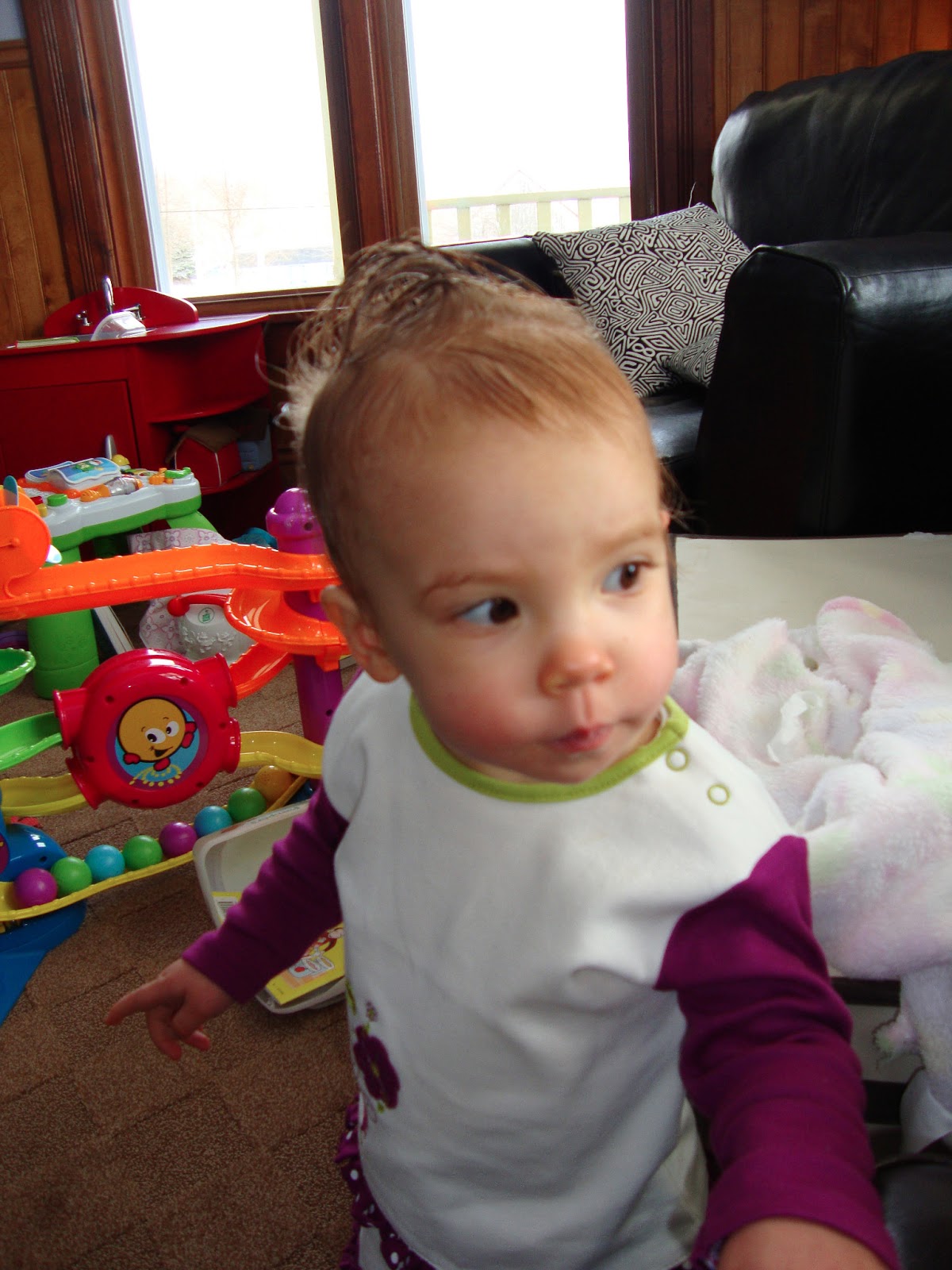 The Daily Zoe: The Curious Case of the Kleenex-Shredding Monster!