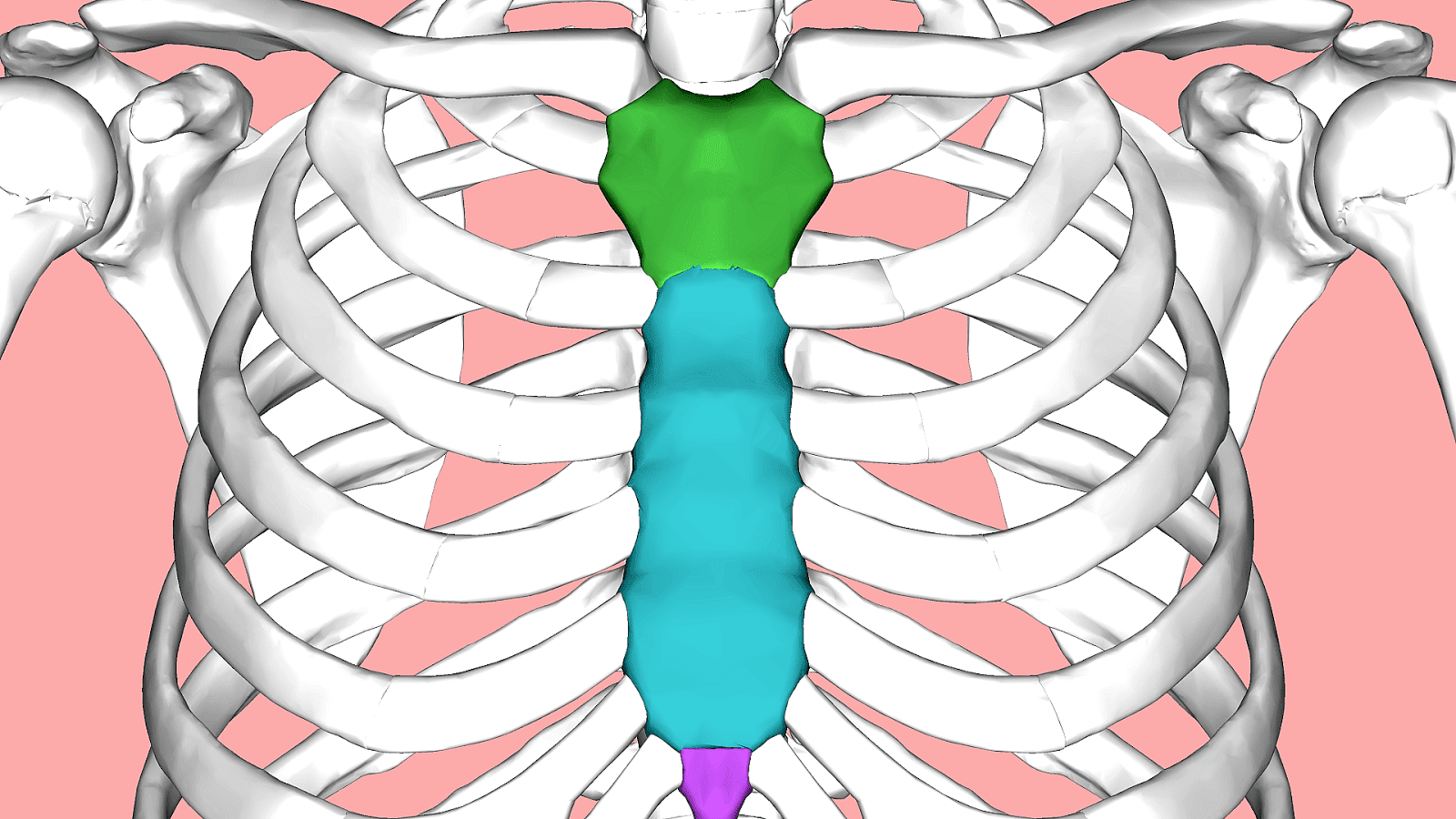 Sternum Injury Symptoms Injury Choices sternum-injury-symptoms-injury-choices