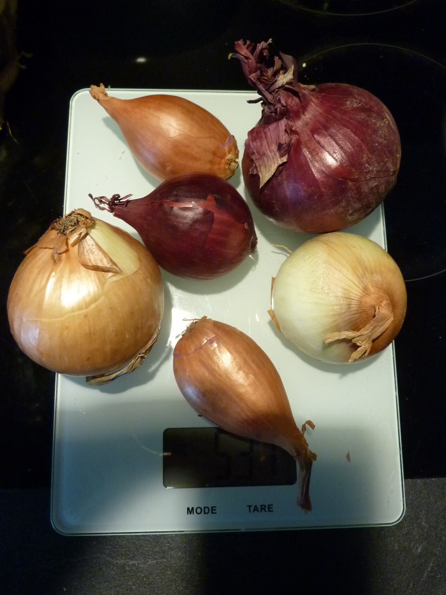 Tartelettes aux 3 oignons