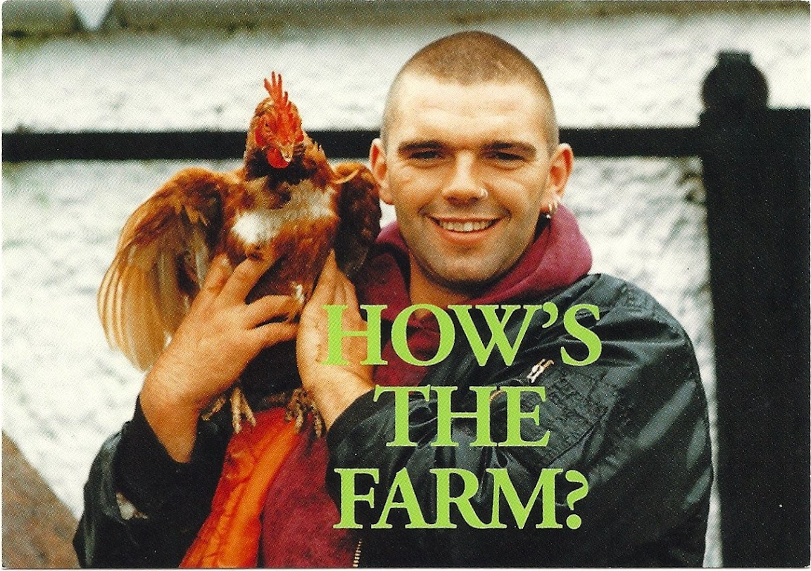 The Checkered Chicken