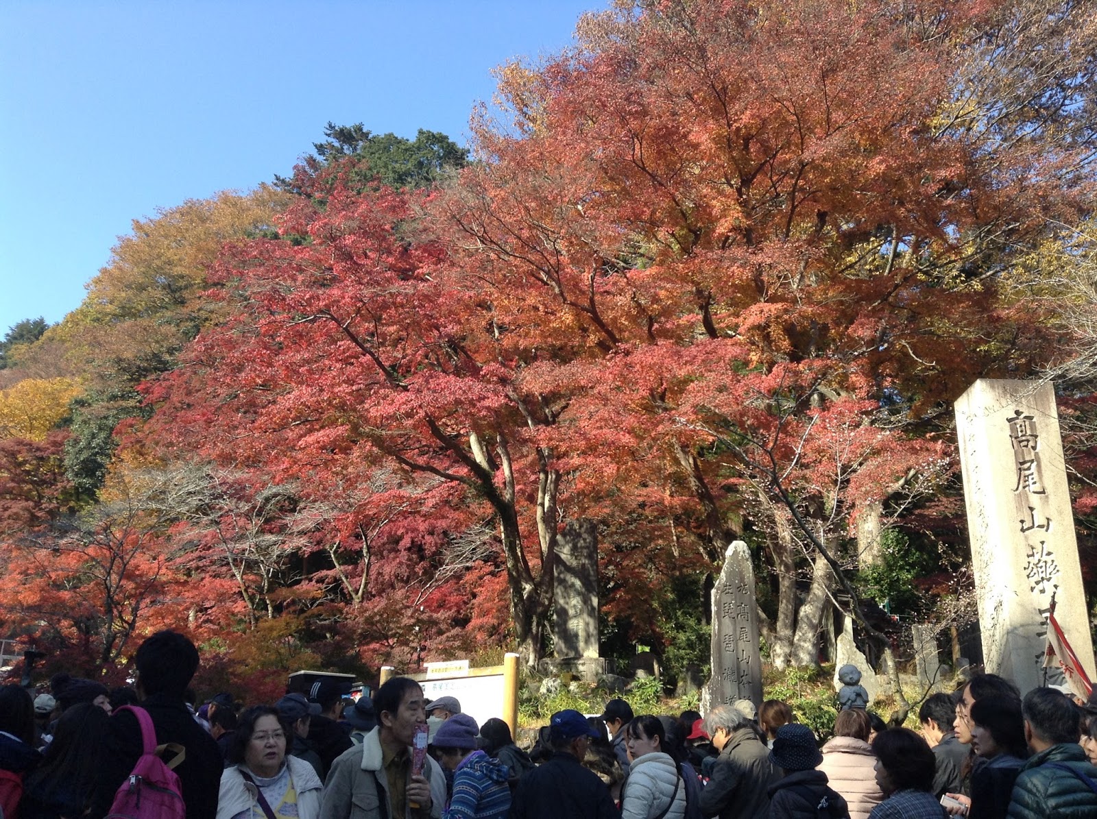 JapanDo: Mount Takao for Autumn Foliage