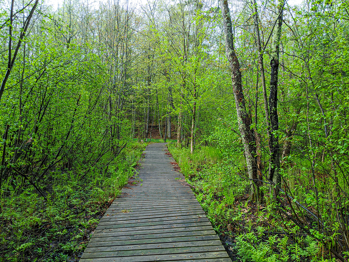 Hiking the Escanaba Lake Trail in Vilas County