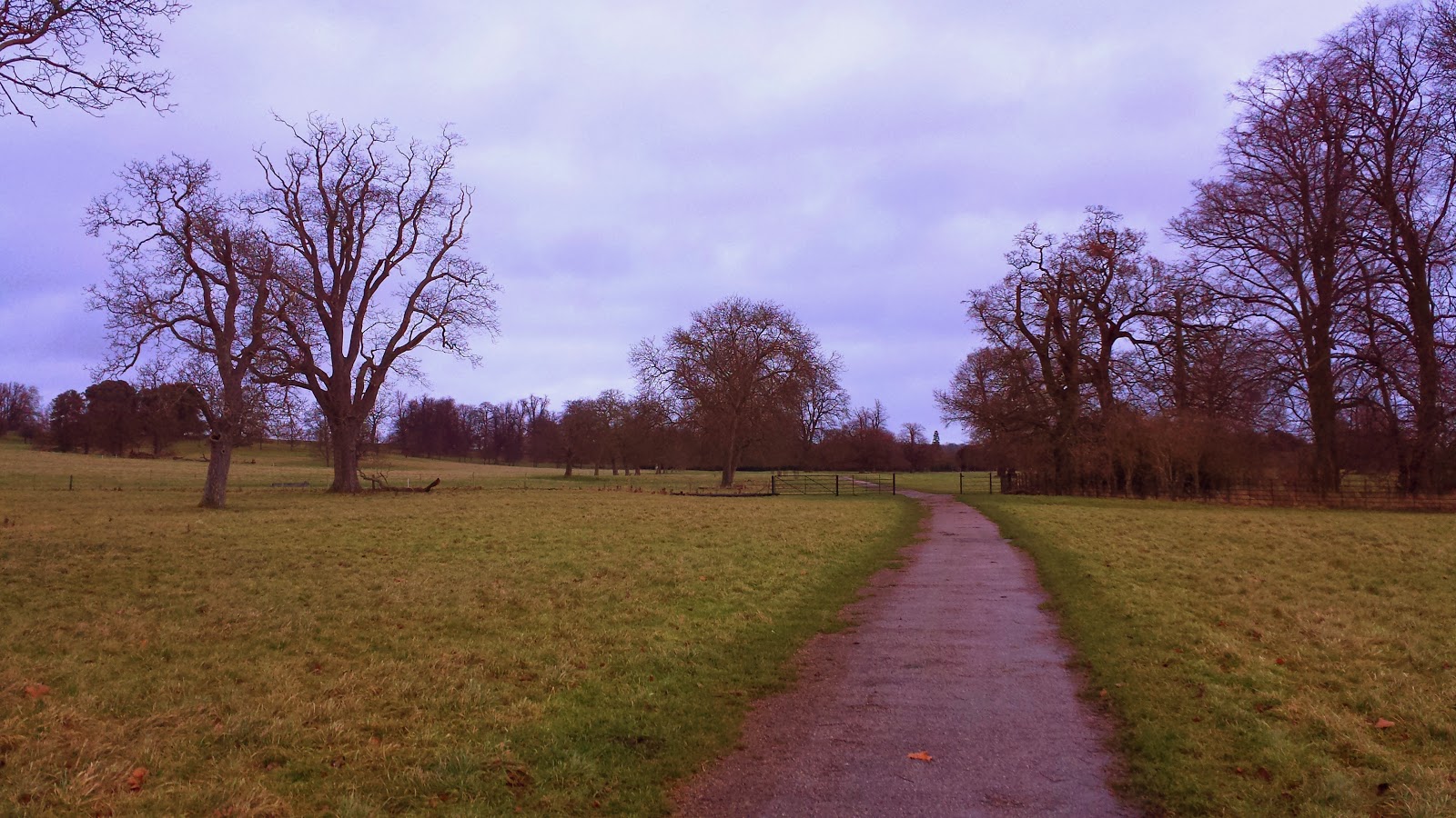 blog7t: Wimpole Estate parkrun