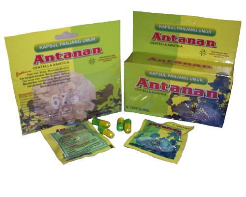 ANTANAN KAPSUL PANJANG UMUR - TOKO HERBAL 07