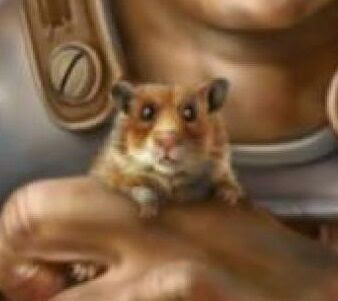 Susanne Saville - Caffeinated Natter: Hamsters In SPAAAAACE || Series ...