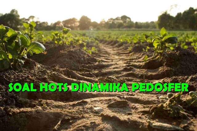 Soal HOTS Pedosfer dan Pembahasannya - Guru Geografi