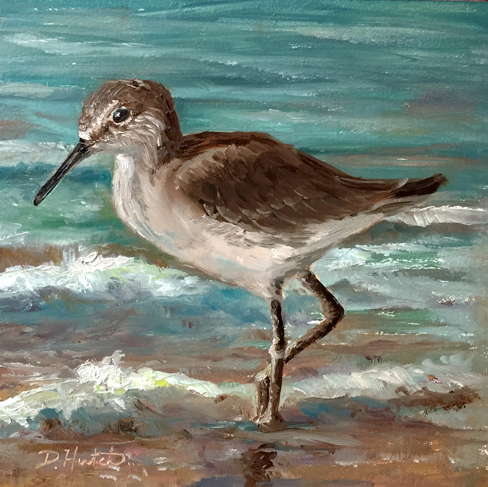 Diane's Art Stuff: Sandpiper paintings