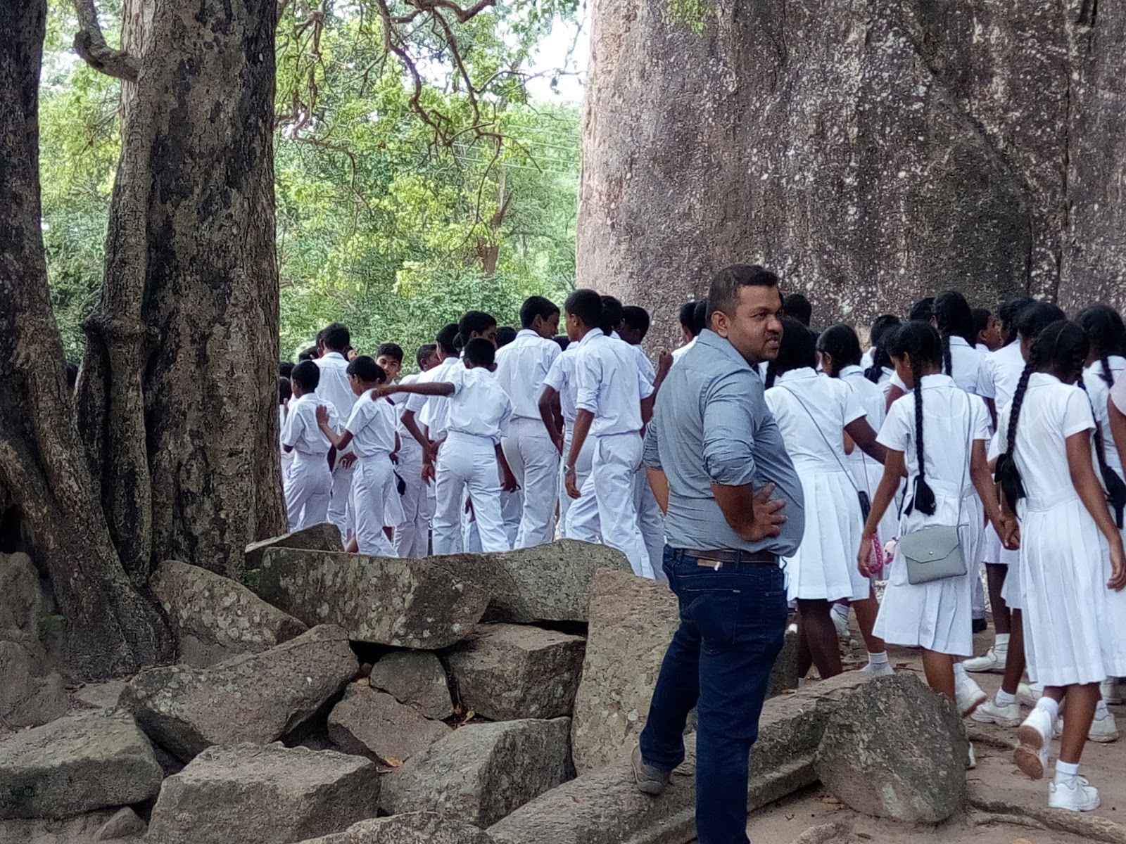The Sri Lankan Traveller : The Ancient Hasthikuchchi Ruins