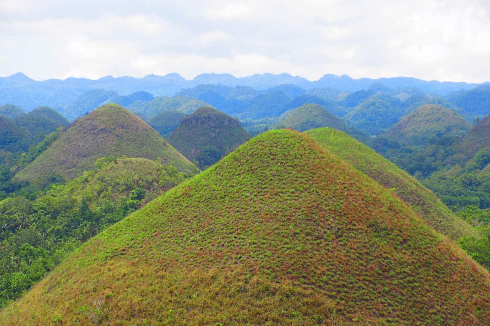 Travel Guide Budget and Itinerary for Bohol - The Wandering Juan