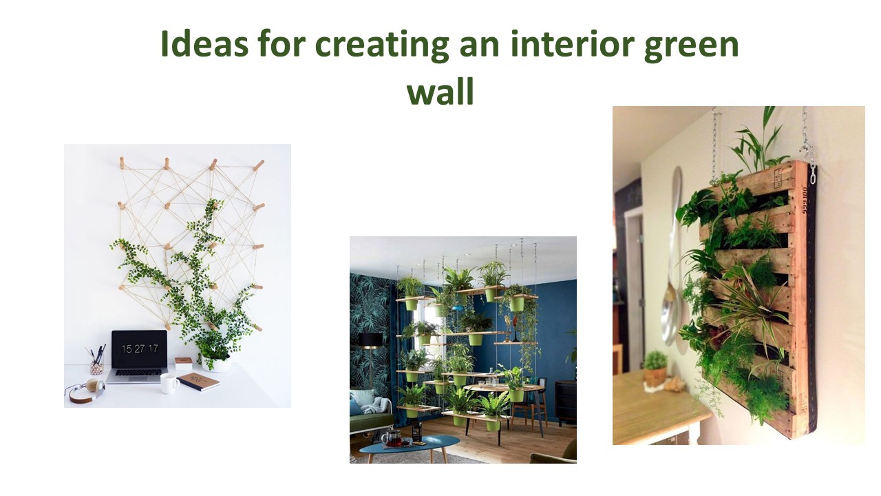 Ideas for creating an interior green wall