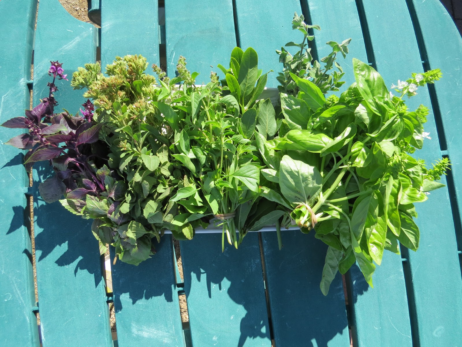Edible Herbs, Flowers & Other Edibles - Grow Your Own Dinner!: More ... Edible Herbs, Flowers & Other Edibles - Grow Your Own Dinner!: More ...