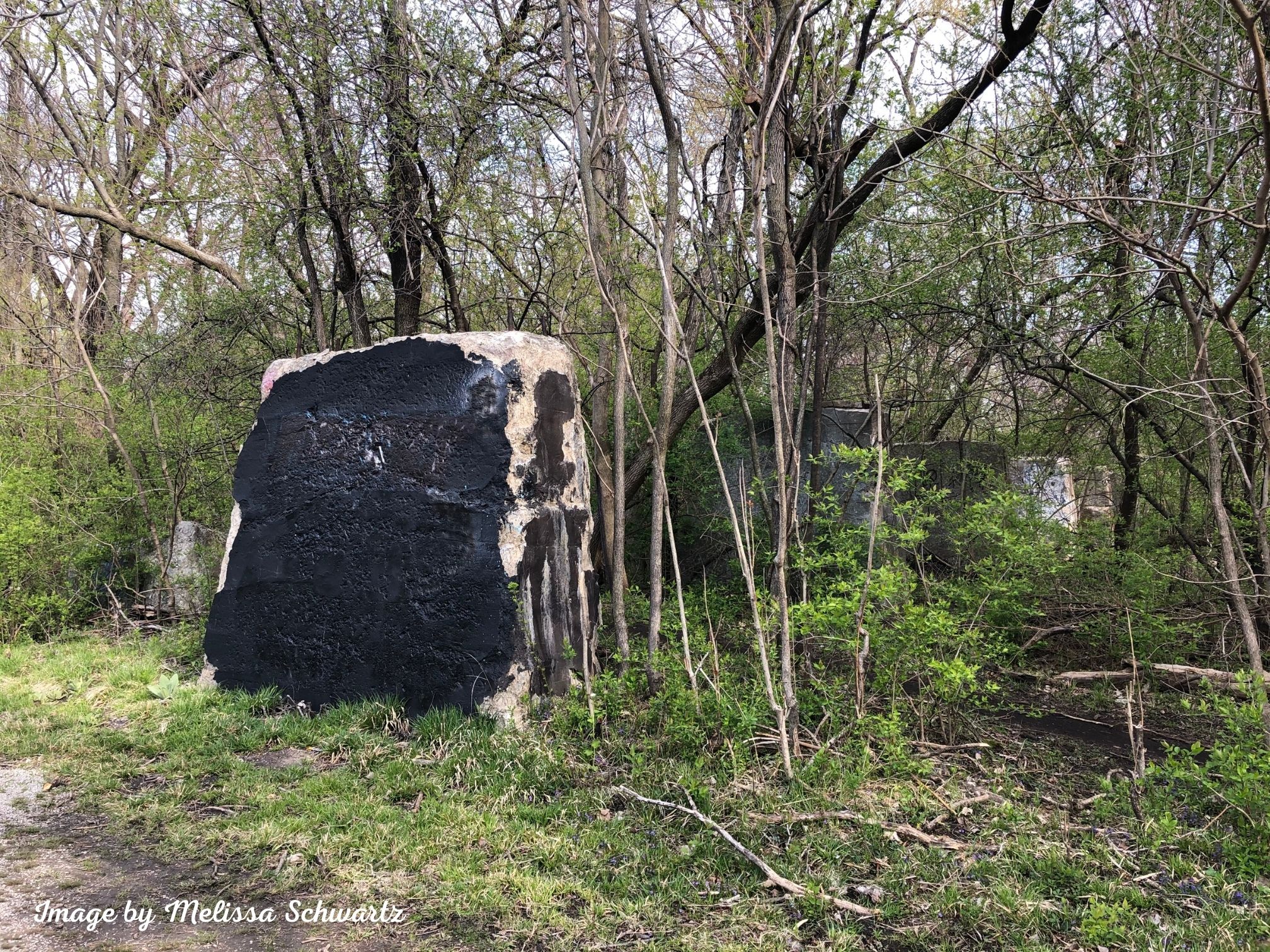 A Little Time and a Keyboard: Moline's Sylvan Island Exemplifies ...