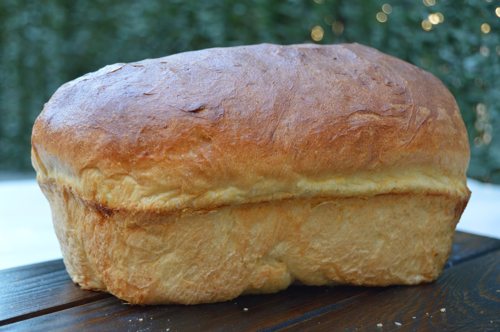 DULCE GOURMETT: PAN DE MOLDE / MOULD BREAD