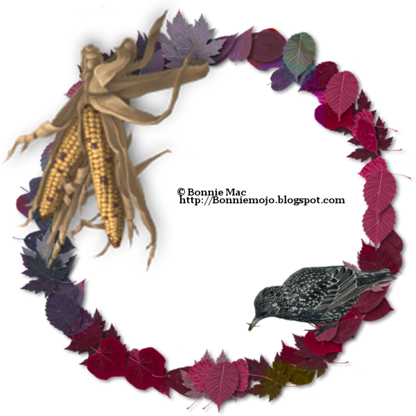 BonnieMac's PSP Tubes and Scrapkits: Fall Frames 2017