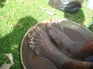 Jeff Hashimoto's Travel Blog: Environment and Public Health in Keiyo County