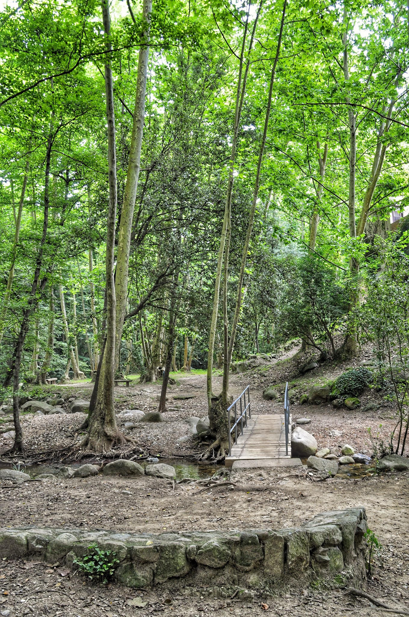 El Montseny -Gualba y sus alrededores-