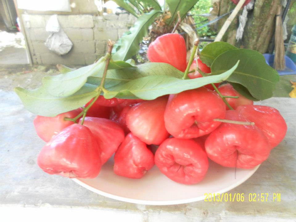 Daddy Waddy Weeviews: October 2013