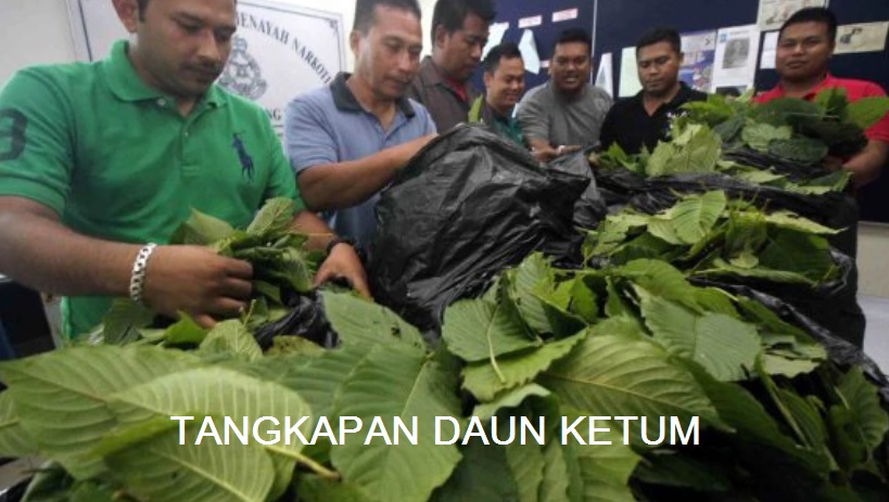 Anim Agro Technology: KETUM - FAKTA LAPORAN