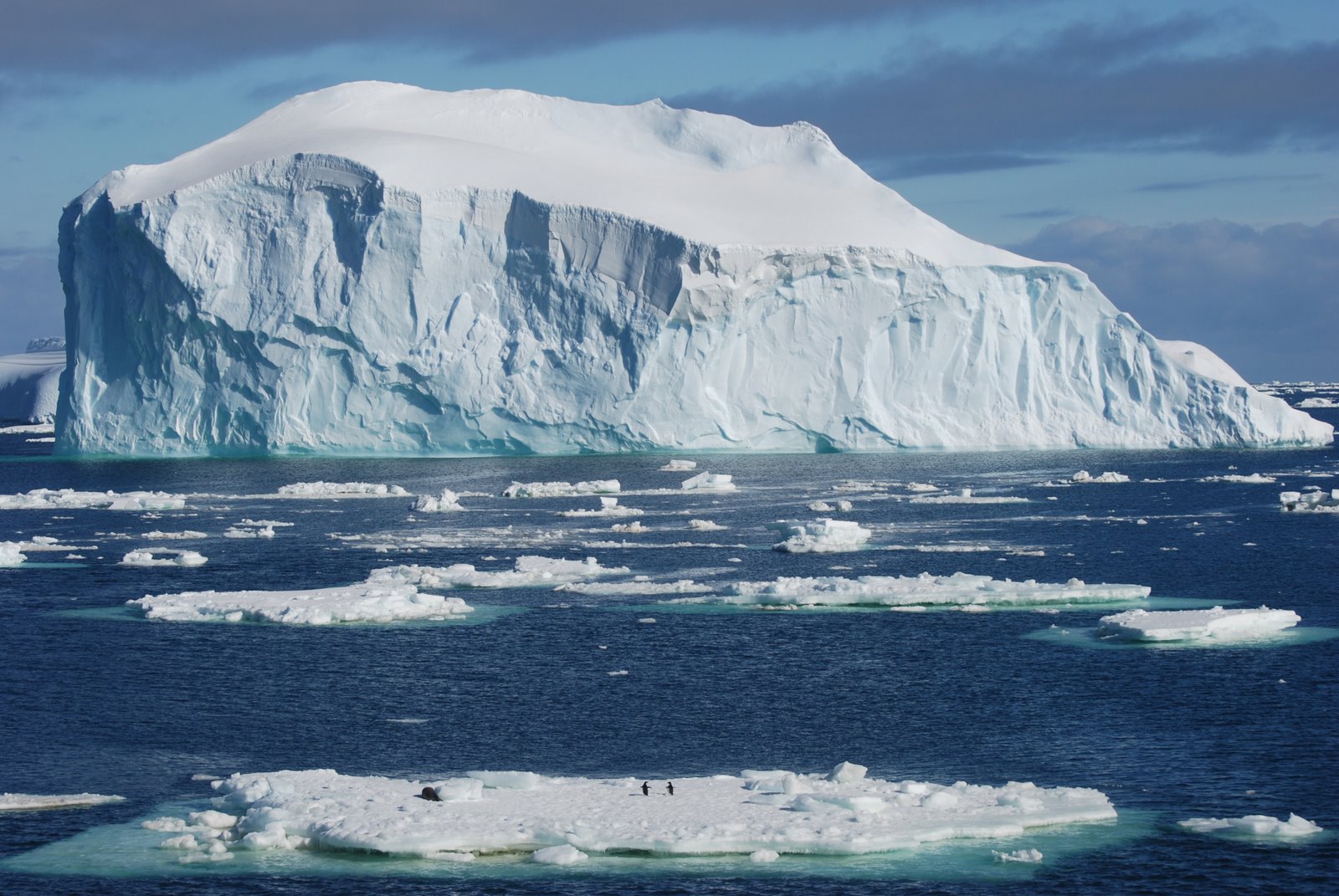 Lisa's year at Mawson 2011