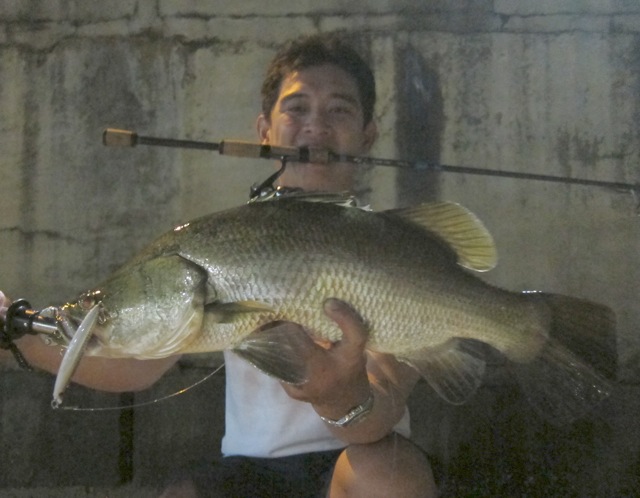 Ima Singapore: Our catches on Ima Sasuke 105