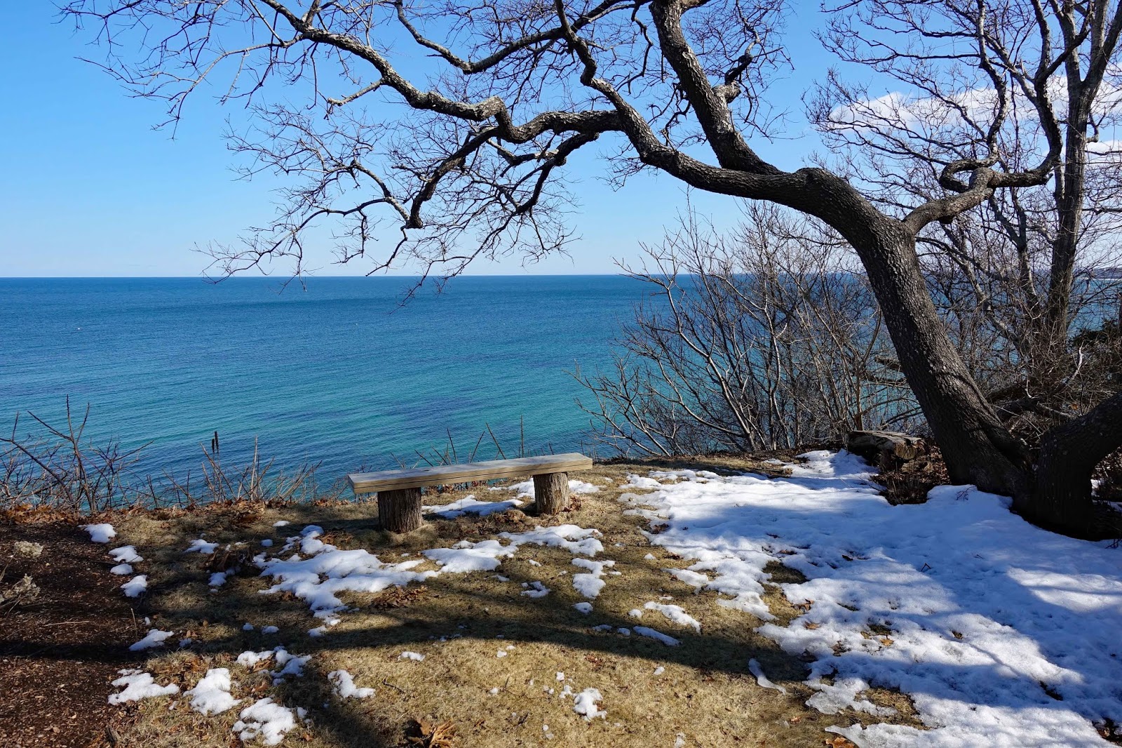 Joe's Retirement Blog: Winter Loosens its Grip, Manomet, Plymouth ...