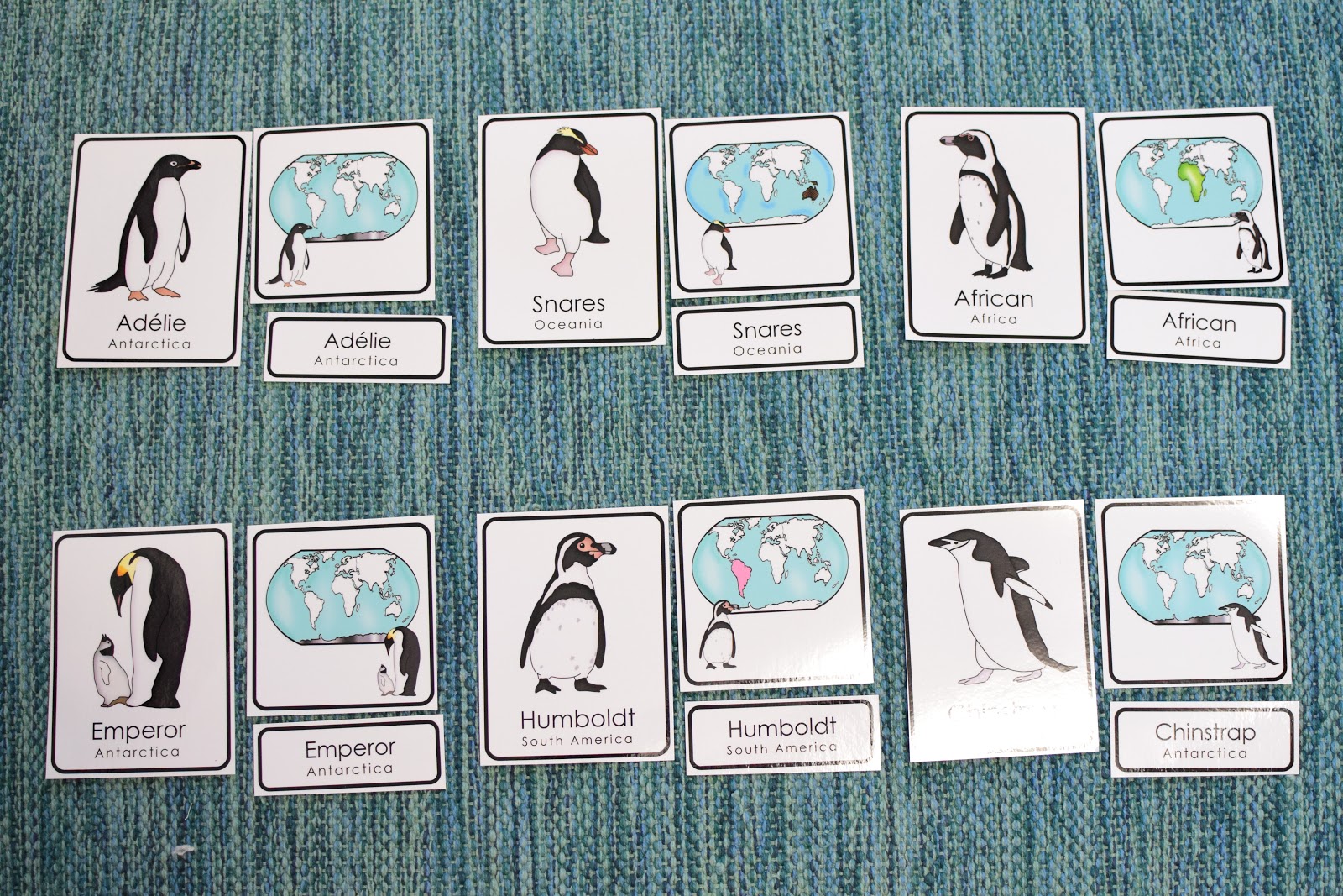 Penguins Preschool Math and Literacy Mini Unit | The Pinay Homeschooler