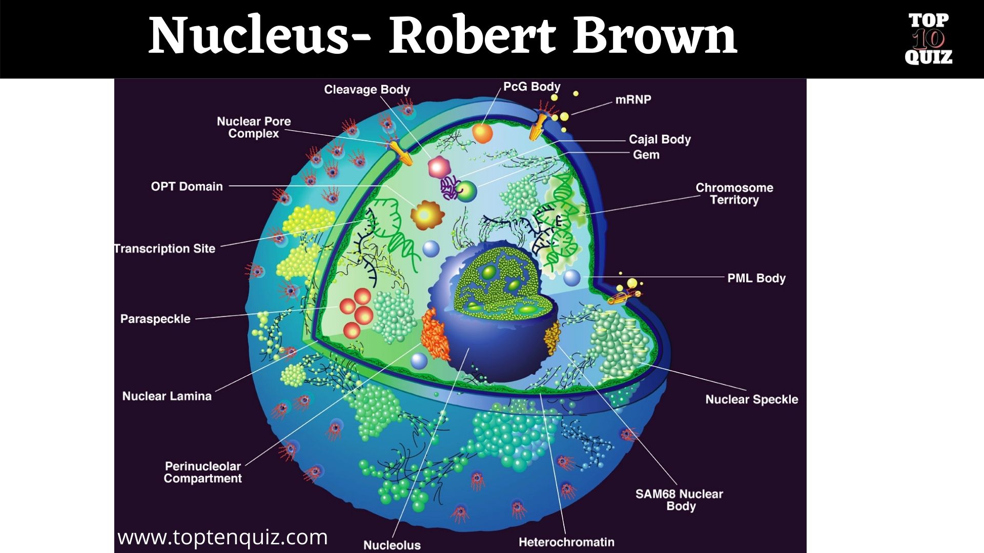 101 Biological Science Inventions and Discoveries (Part 1)