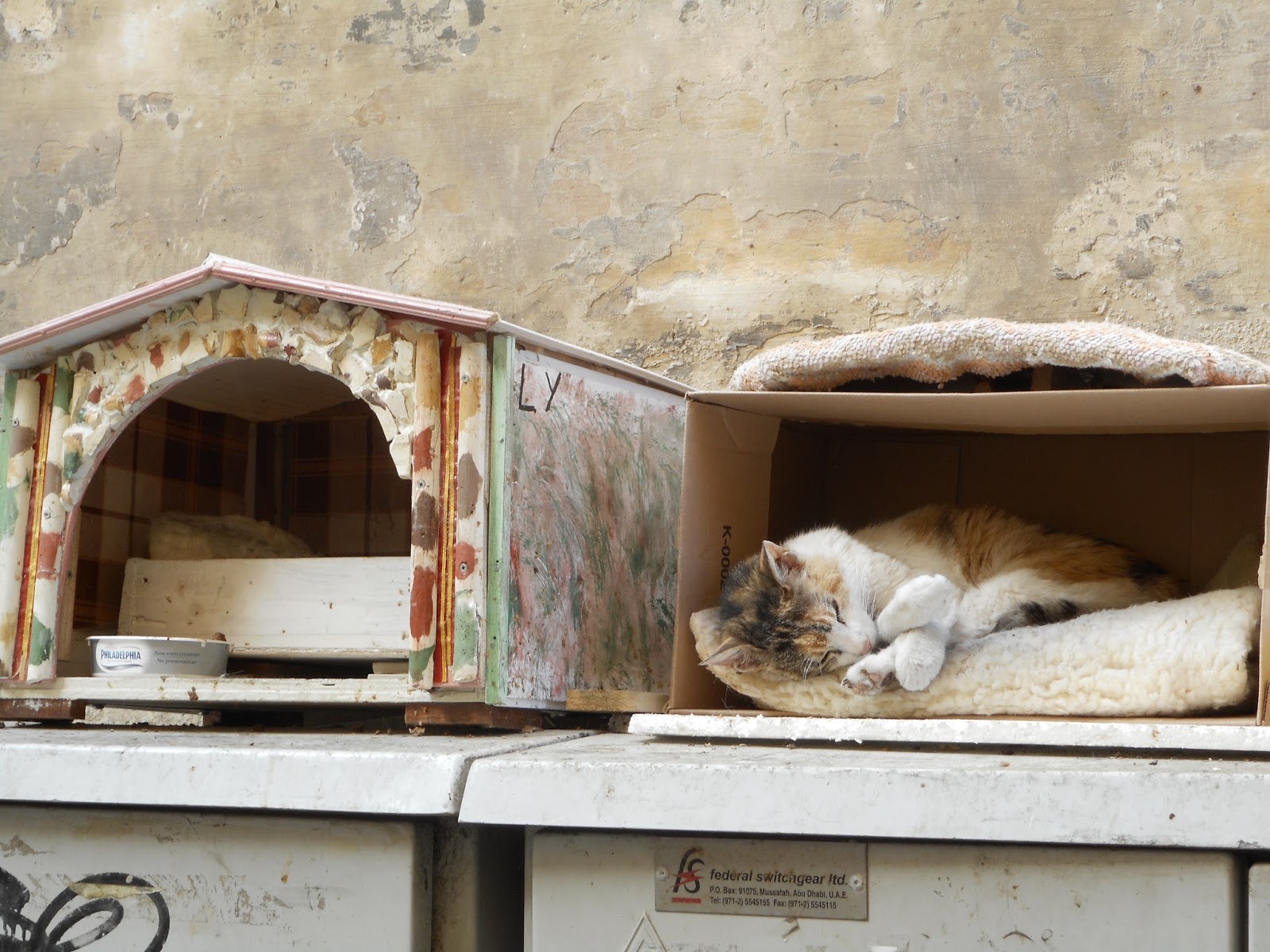 Anitas betraktelser..: Den lilla katten i Valetta