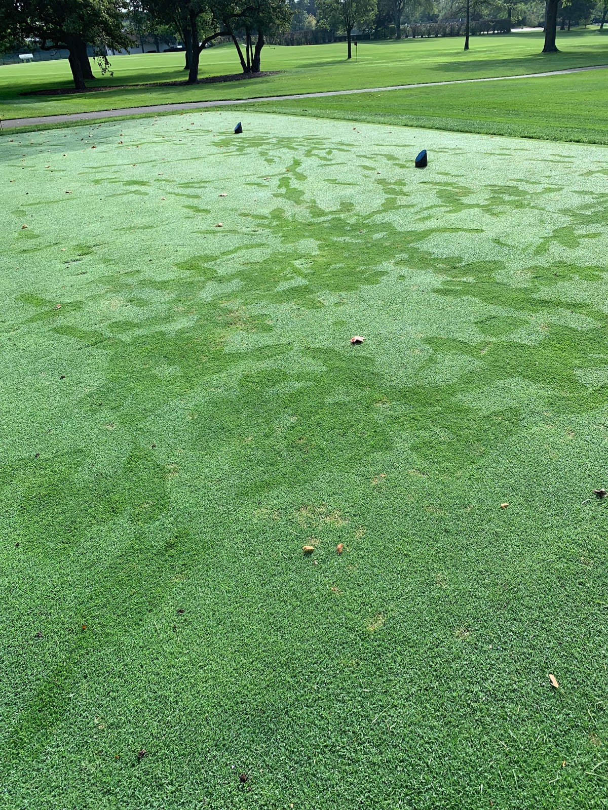 Northmoor Country Club Golf Course Operations