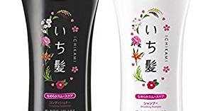 The Best Japanese Shampoo & Conditioner | It has grown on me!