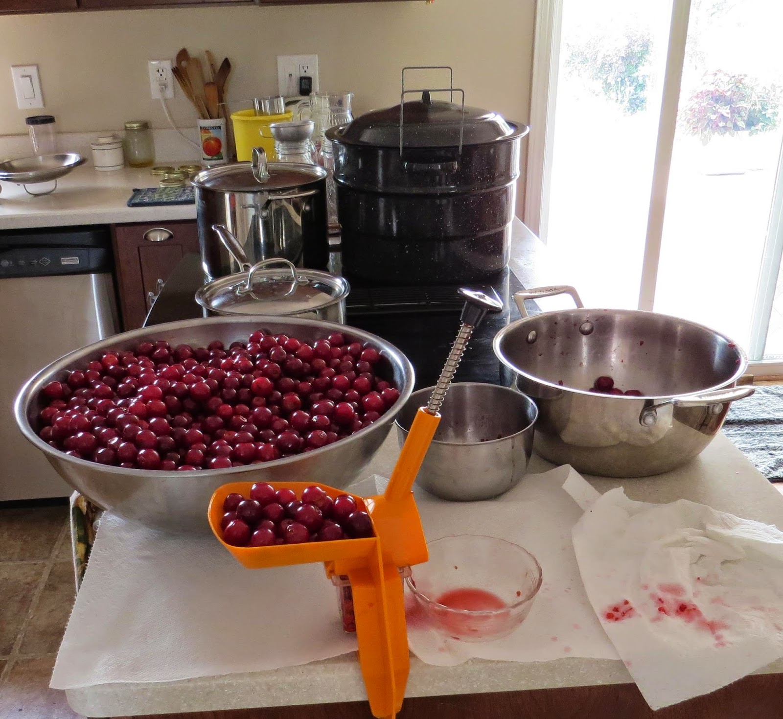 Final organic cherry production report - Susan's in the Garden