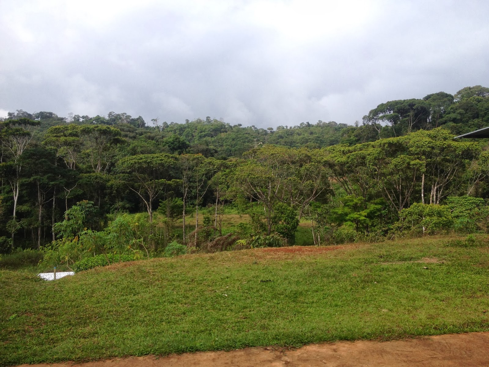 Gira Academica UDELAS a la comunidad de Ahogado Centro - Capira