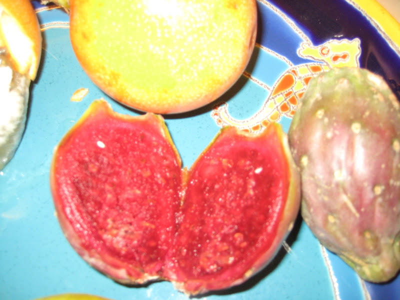 We moved from Chicago to Cuenca: Lesson on shopping at a local market ...