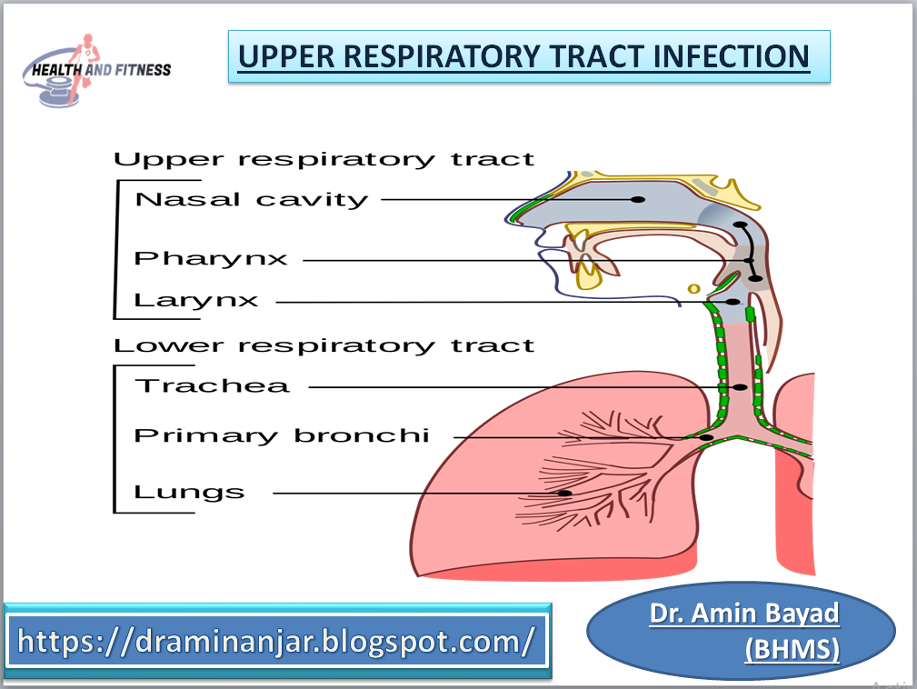HEALTH AND FITNESS: What is URTI ? | Symptoms and treatment | 2019