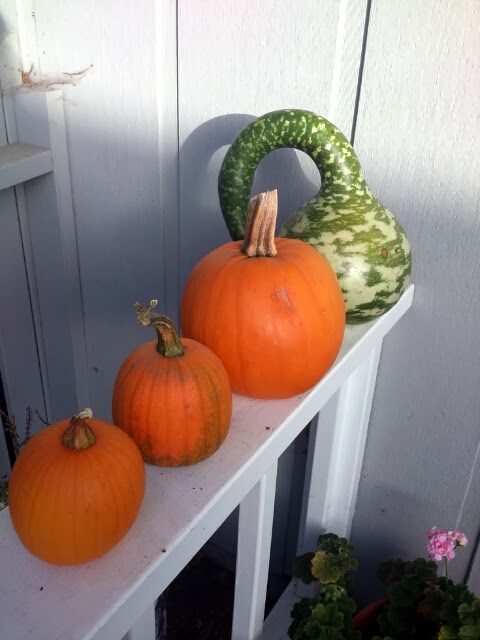 Sunny Simple Life: Fall Fix Ups