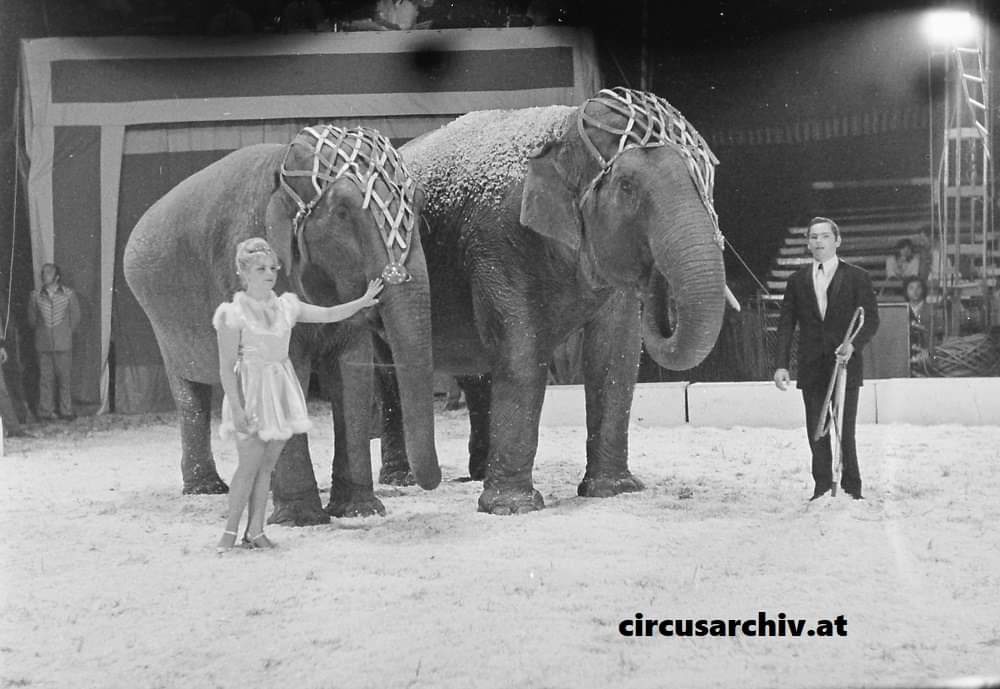 CIRCUS CARL ALTHOFF (D): Immagini dagli anni '70 | SCXS