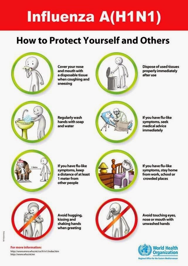 TIPS TO IMPROVE HEALTHY LIFE TODAY: Demystifying the H1N1 virus