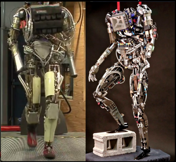 REHABILITACIÓN Y MEDICINA FÍSICA. Mirando al futuro.: DARPA invertirá ...