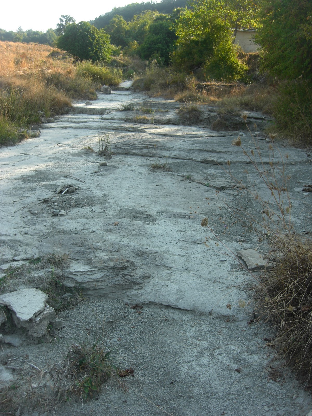 Η ΛΑΓΚΑ ΜΟΥ: ΣΤΙΣ ΚΡΑΝΙΕΣ ΓΙΑ ΚΡΑΝΙΑ
