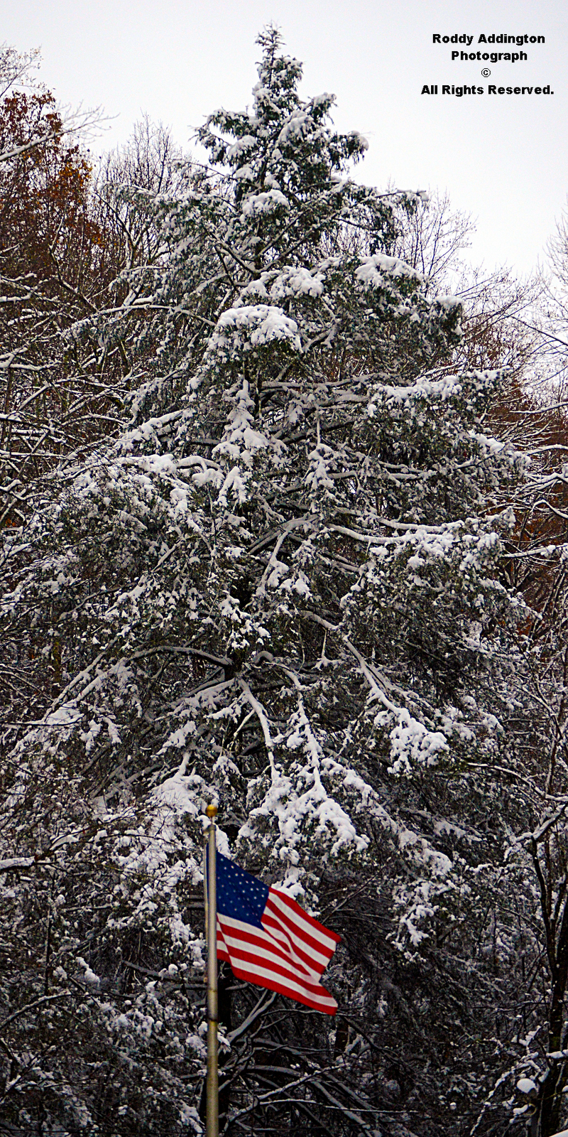 The High Knob Landform: Historic Winter Storm of October 2012