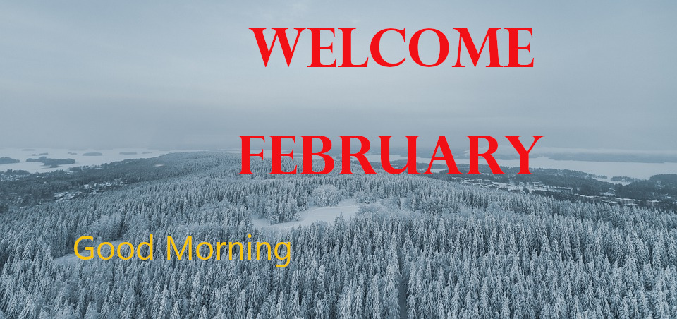 Top 10 Good Morning Hello February Images greating Pictures,Photos for ...