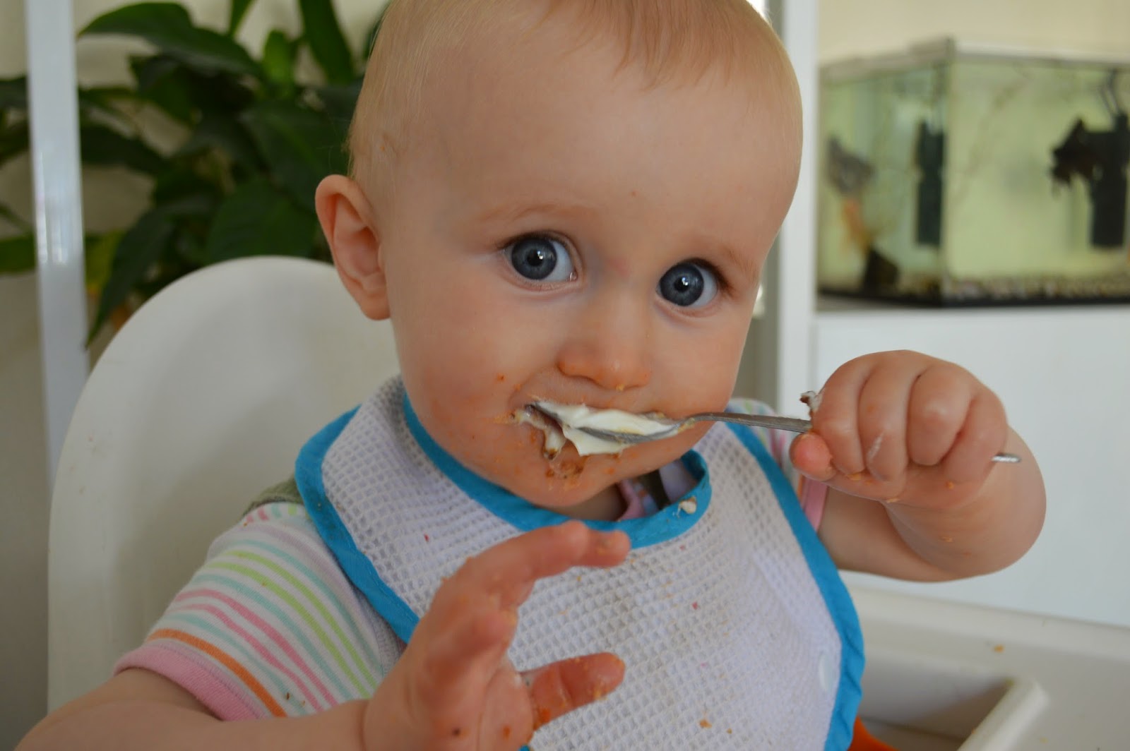 Baby Led Weaning and Recipe Ideas |This is Wiss