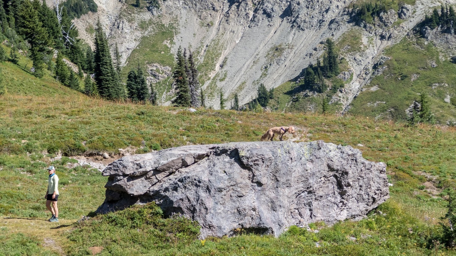 Eric's Hikes: Goat Rocks Wilderness: Goat Lake Loop and Old Snowy
