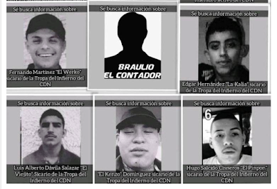 Borderland Beat: Structure of El Cártel del Noreste aka CDN